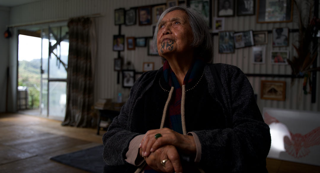 HOMESTEADS – MAHIKA - FIFO 2025